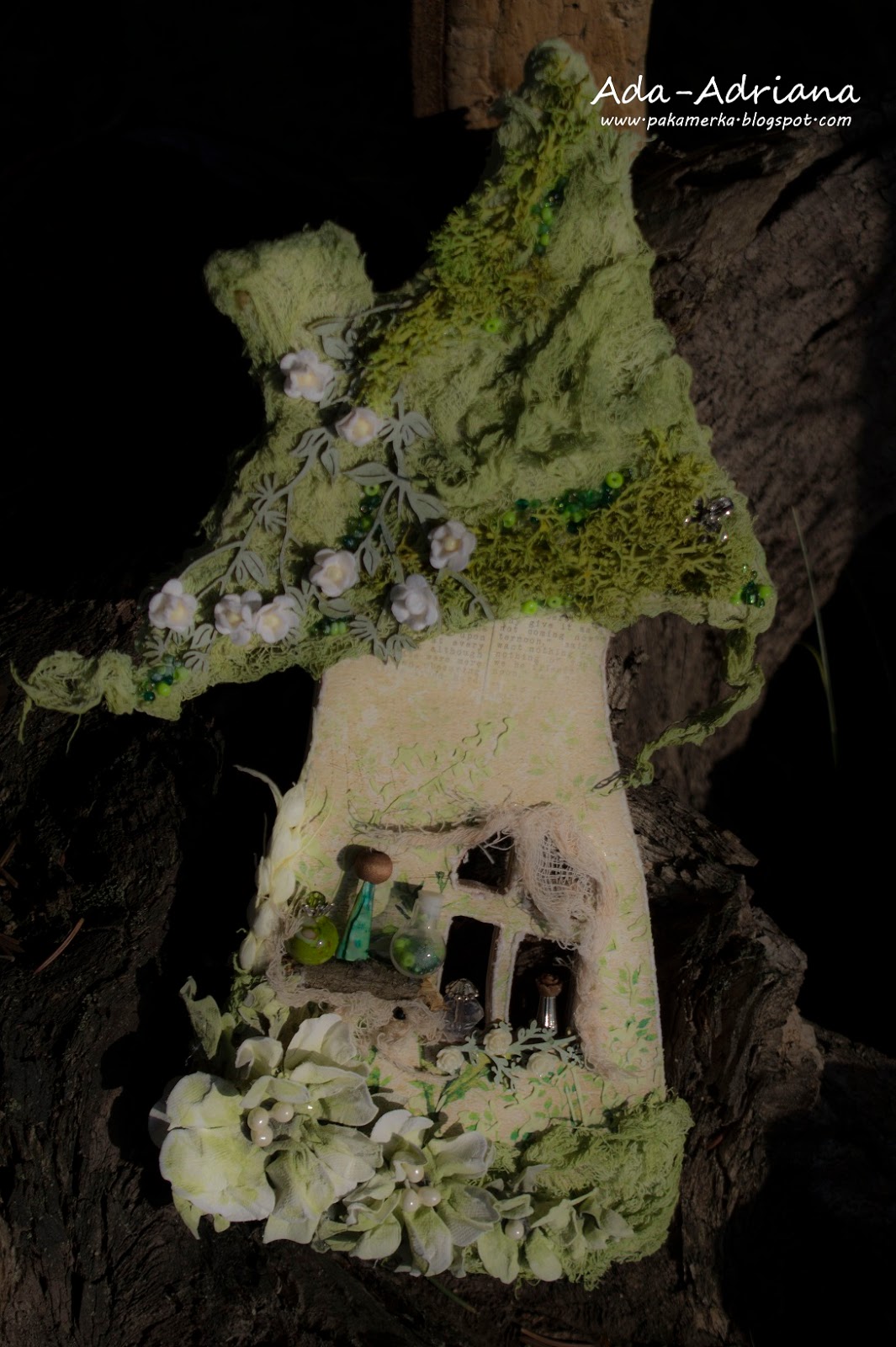 Pakamerka : DOMEK MAGÓW