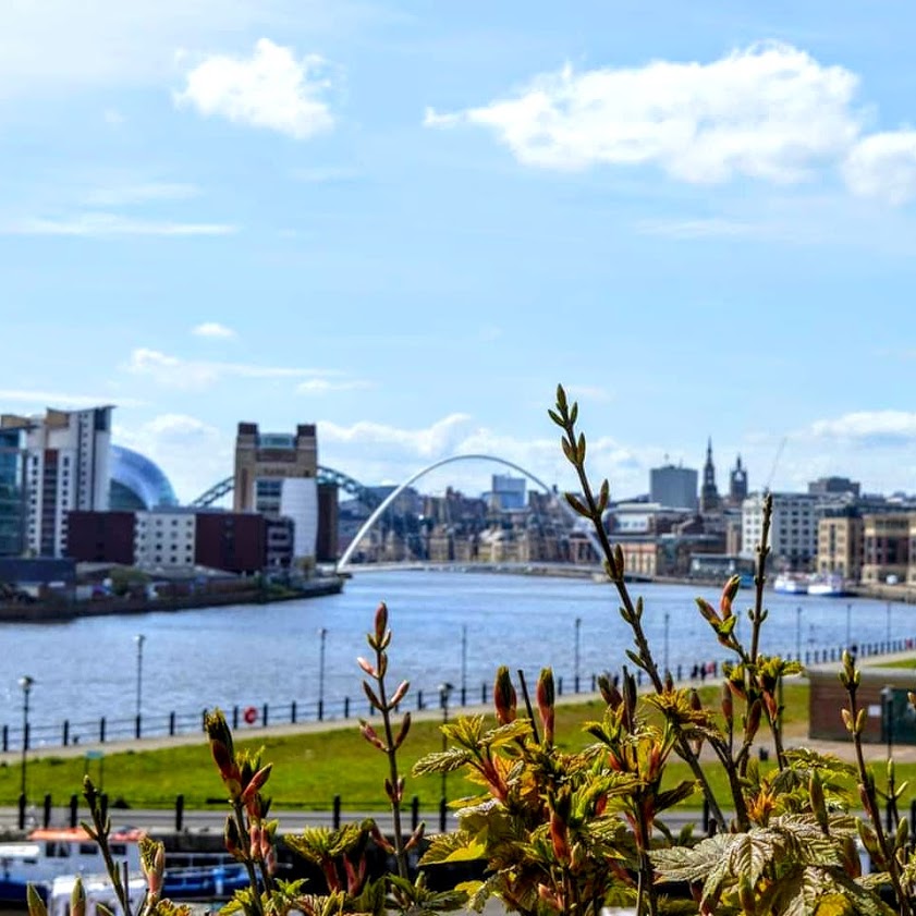 7 Outdoor Spaces to Enjoy Around Newcastle | Visit Newcastle