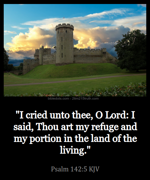 2 Timothy 2 15 Truth Verse Of The Day Psalm 142 5 KJV 2-timothy-2-15-truth-verse-of-the-day-psalm-142-5-kjv