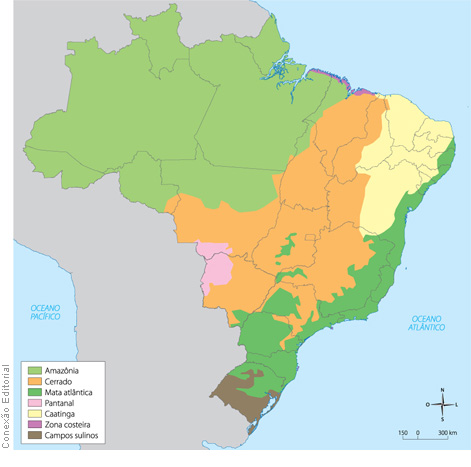 Professor Wladimir - Geografia: BRASIL - Mapas de Biomas, Ecossistemas ...