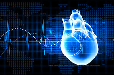 Dispatch from the Digital Health Frontier: AI-Enhanced Cardiology Takes ...