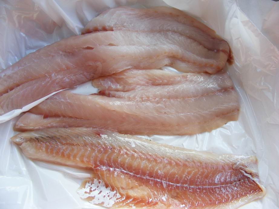 The Lunch Lady: Pesto Pollock