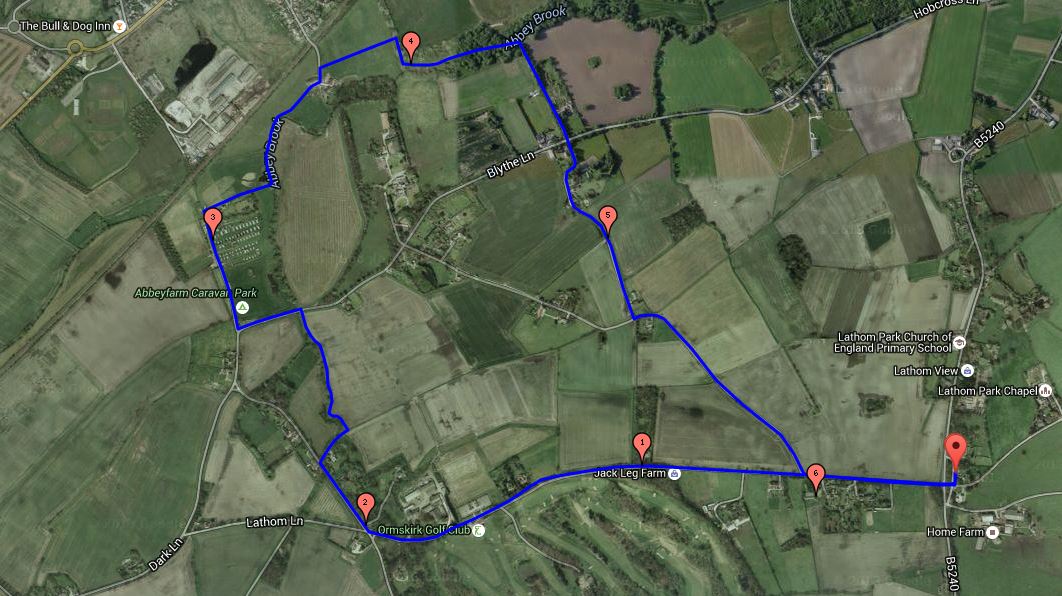 Maghull Meanders: Lathom Park, Lancashire: Real War Horses