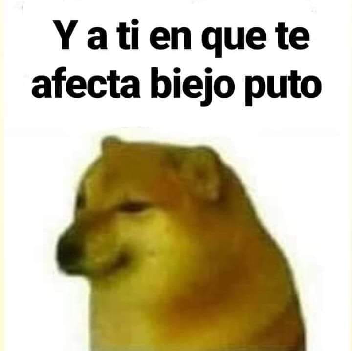Los mejores memes del perrito Adió chula | El Tío Jelipe