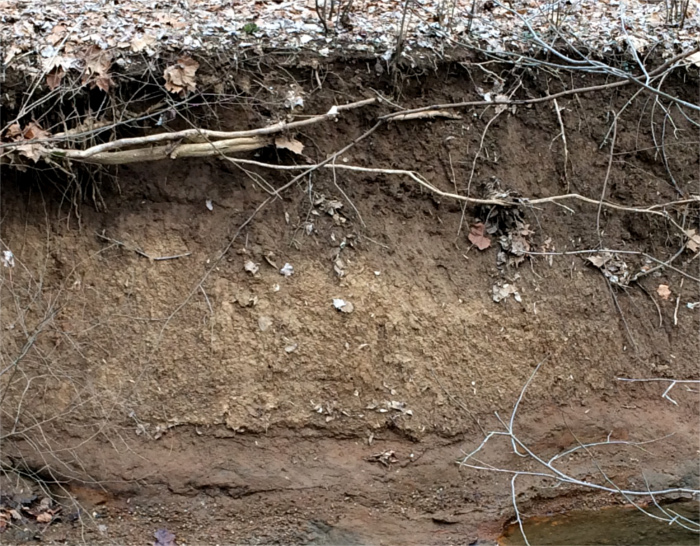 bensozia: A Quick Lesson in Soils and Riverside Archaeology