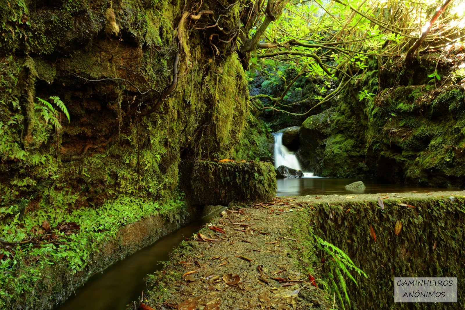 Caminheiros Anónimos Levadas da Madeira : Levada Grande (Achadas da Cruz)