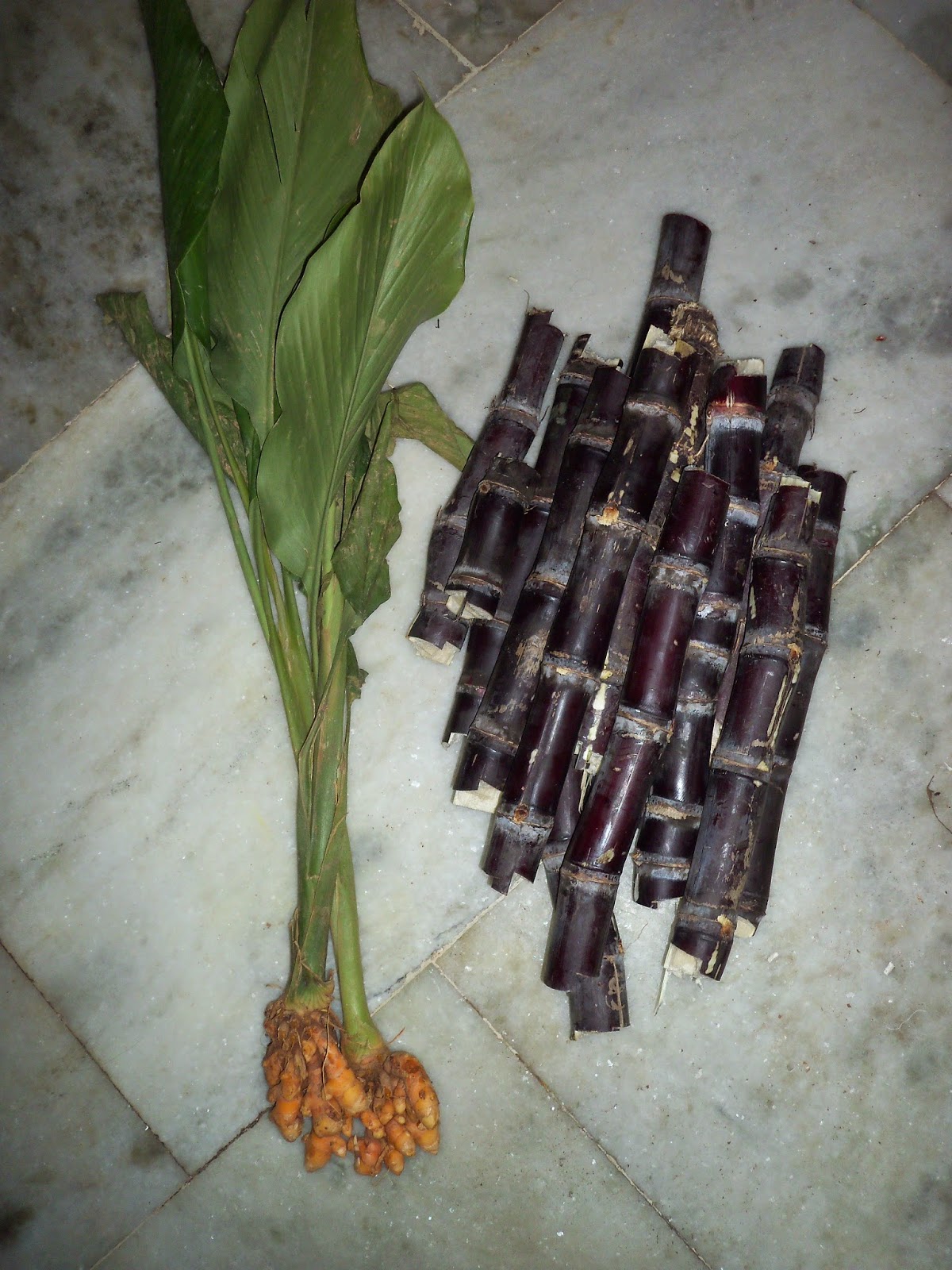 தமிழ் பொங்கல் Tamil Pongal: கரும்பு மஞ்சள் Karumbu Manjjal