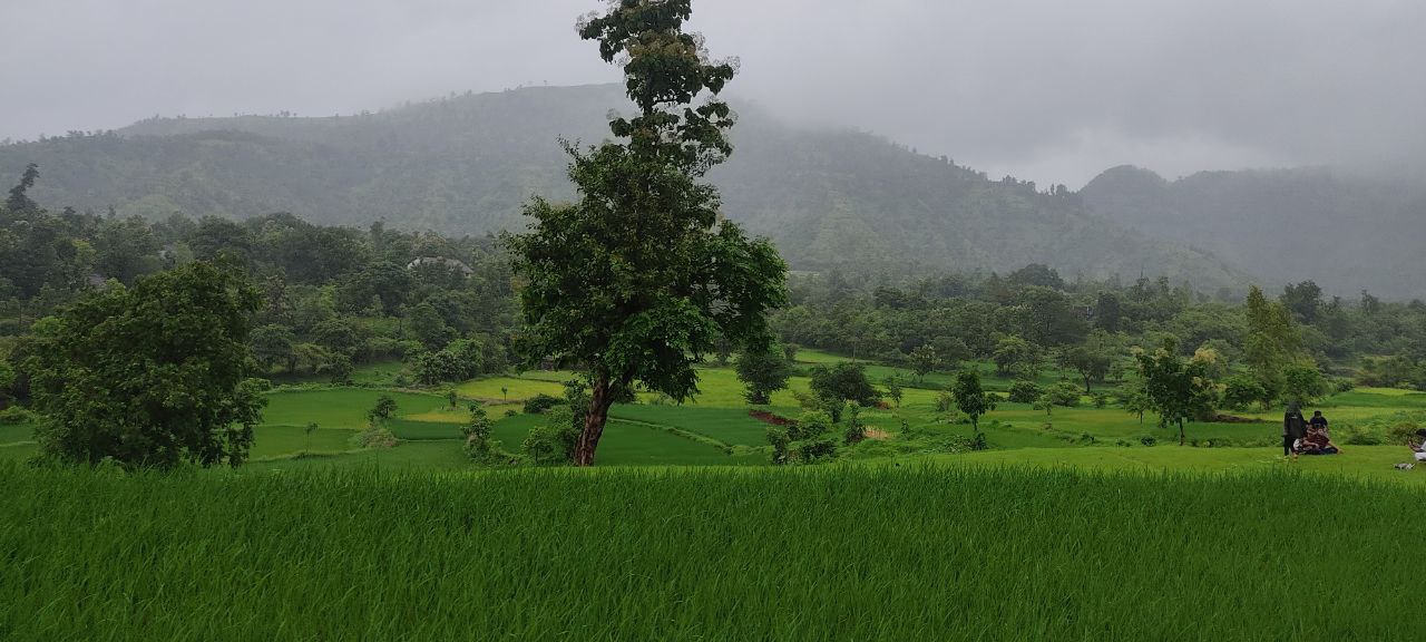 Map less journey with Dr Nitin: Ankda waterfall, Near Vangan ( Vansda ...