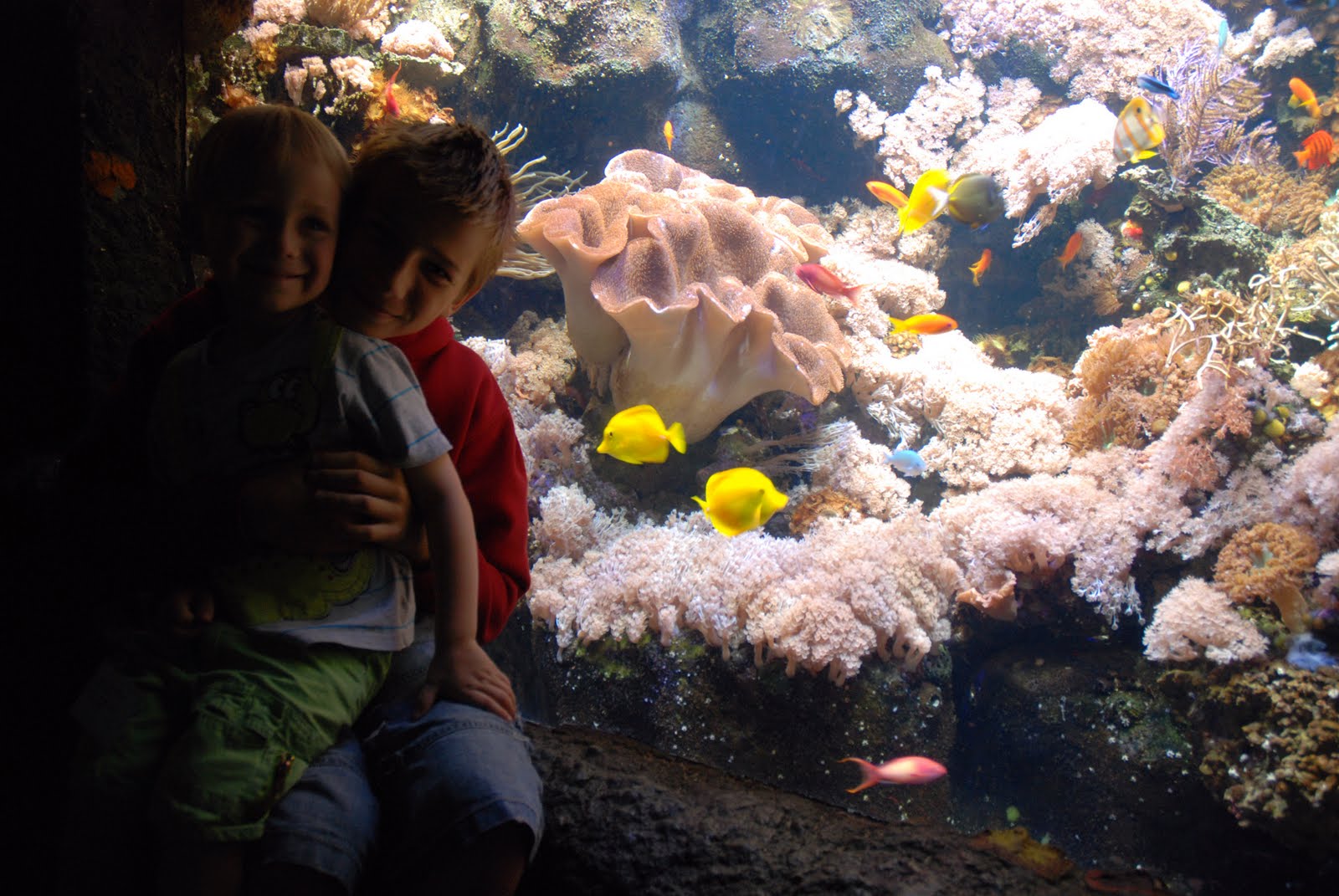 Paprastos Mamos dienoraštis: Turnė po atrakcionų parkus Vokietijoje ir ...