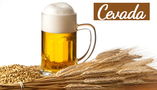 BENEFÍCIOS DA CEVADA - Escola Portuguesa de Feng Shui