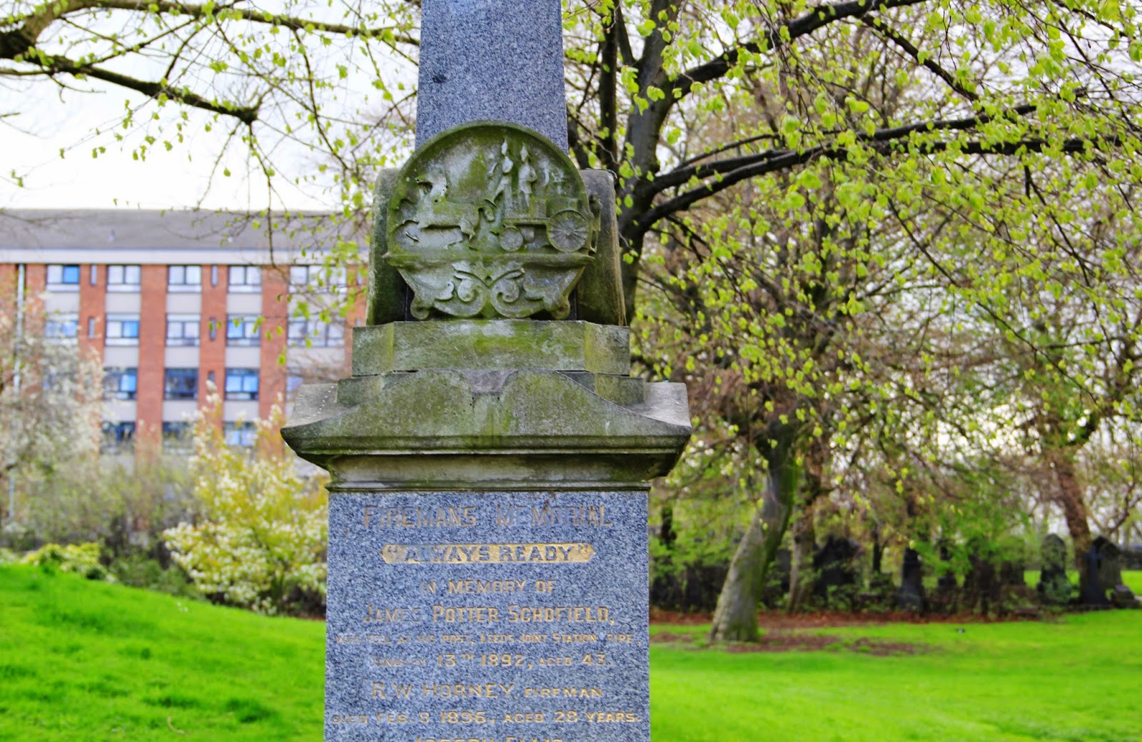 st. george's fields, pt. 2 | summer violets