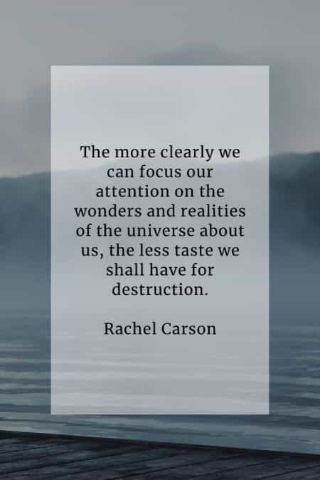 50 Reality quotes that will make you think differently