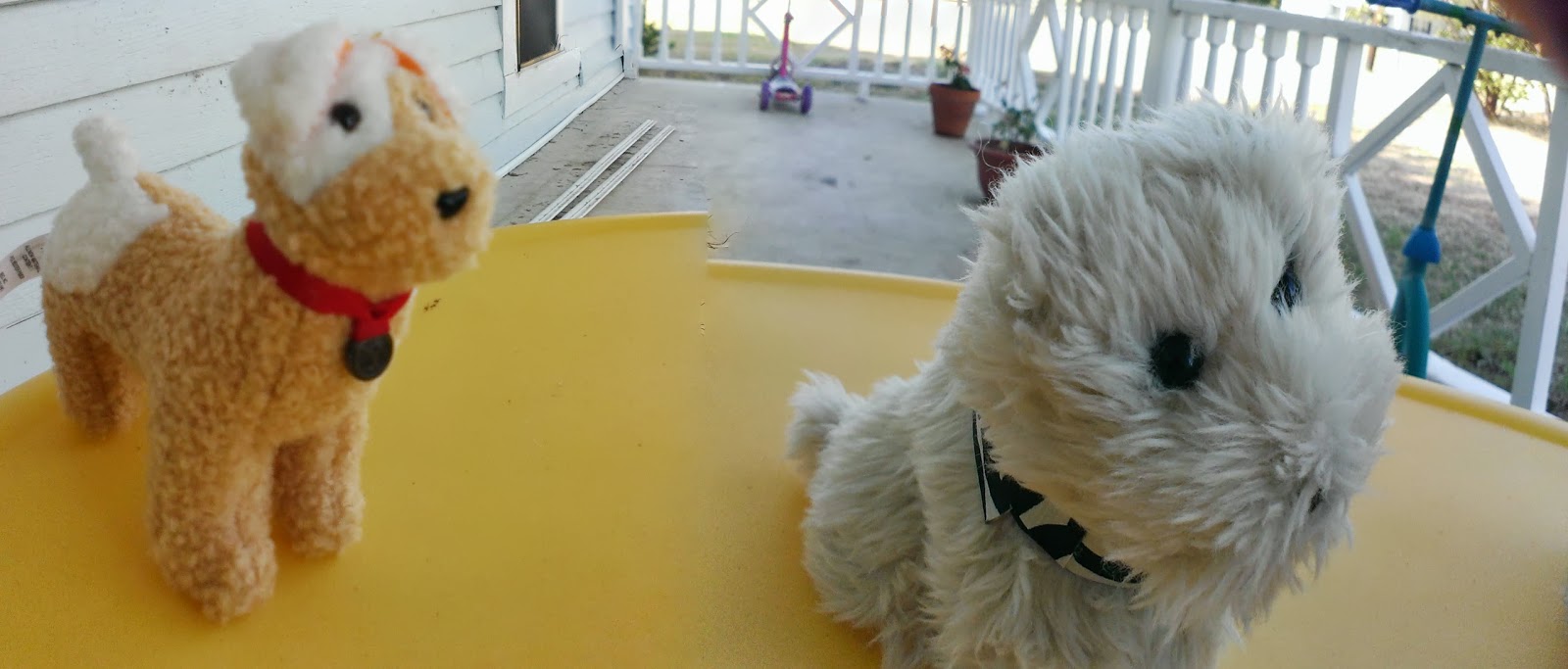 AmericanGirl01: My Doll Pets