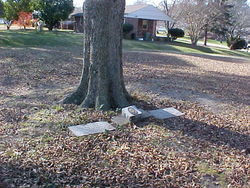 @Three Family Trees: Col Robert Bolling's home and 2 wives