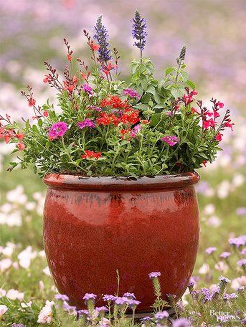 30+ Beautiful Summer Container Garden Flower Ideas ~ cameretta004