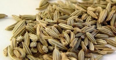 Manfaat dan khasiat Adas manis untuk kesehatan tubuh