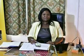 NewsdzeZimbabwe: CHIPINGE BOSS ARRESTED, FREED OVER STAND