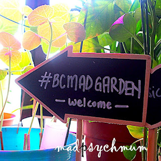 MadPsychMum | Singapore Parenting + Travel Blog: Our HDB Garden (1 ...