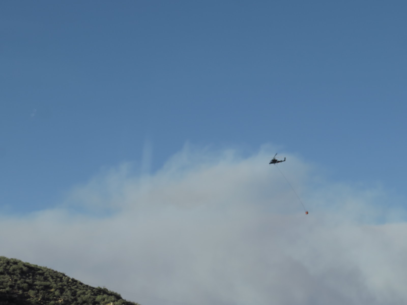 RMSO Bigfoot: Forest Fire Sasquatch Canyon