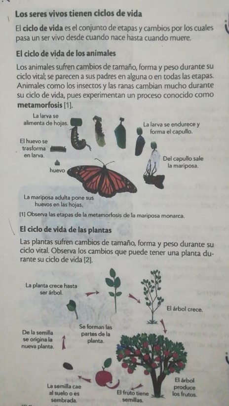 TEMA 4: CIENCIAS NATURALES -EL CICLO DE VIDA DE LOS SERES VIVOS