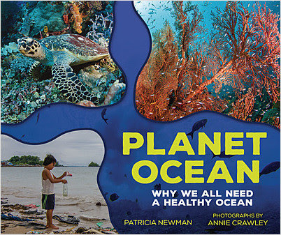 proseandkahn: Fact Friday: Planet Ocean: Why We All Need a Healthy ...