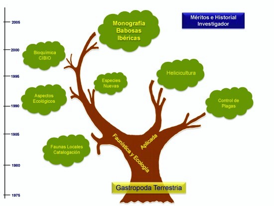 HERRAMIENTAS PARA LA TOMA DE DECISIONES: ÁRBOL DE DECISIONES