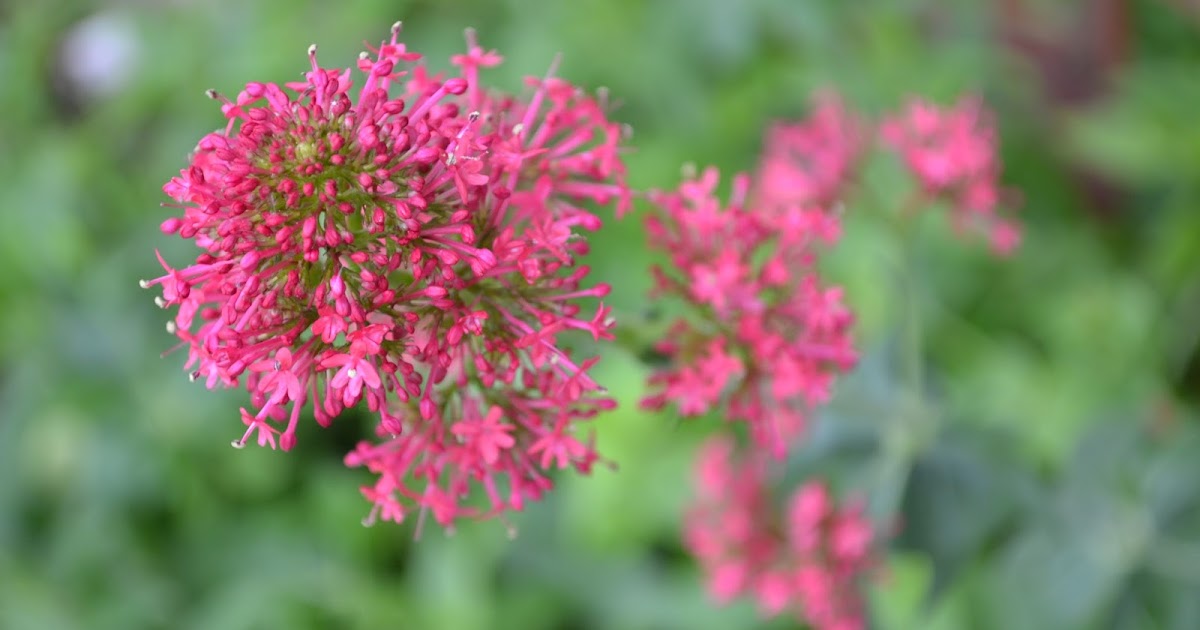 Quantrell Quips: Encroaching