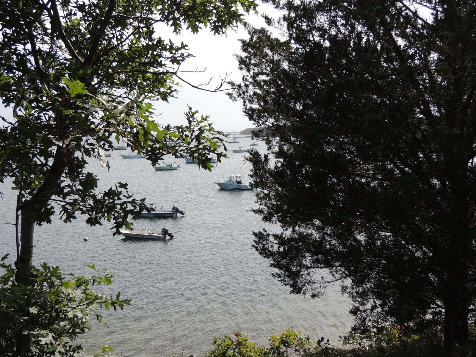 From Camping to Glamping: Cape Cod Waquoit Bay Reserve