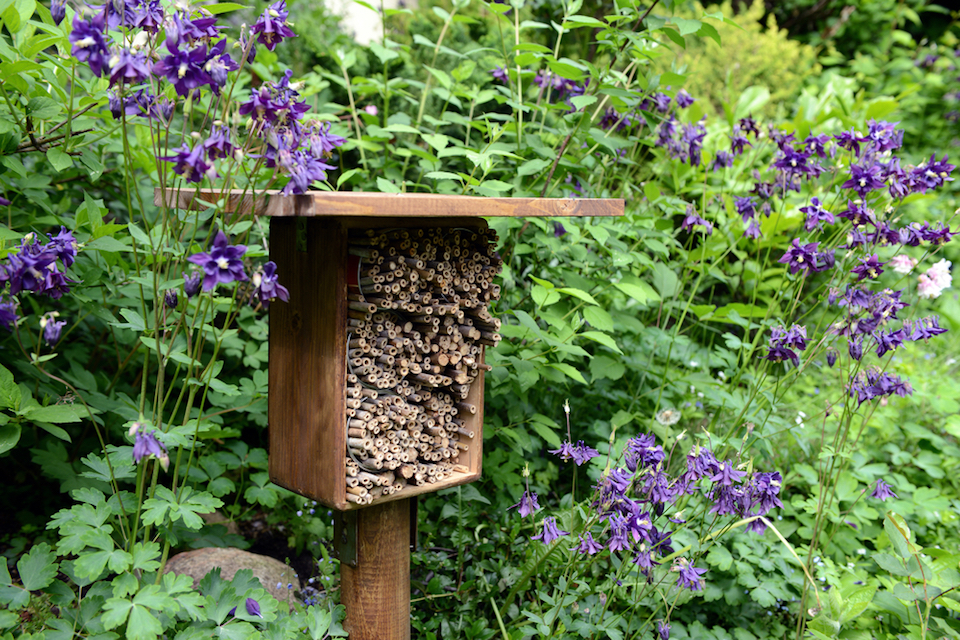 JeffCo Master Gardeners: How to Build a Native Bee Hotel