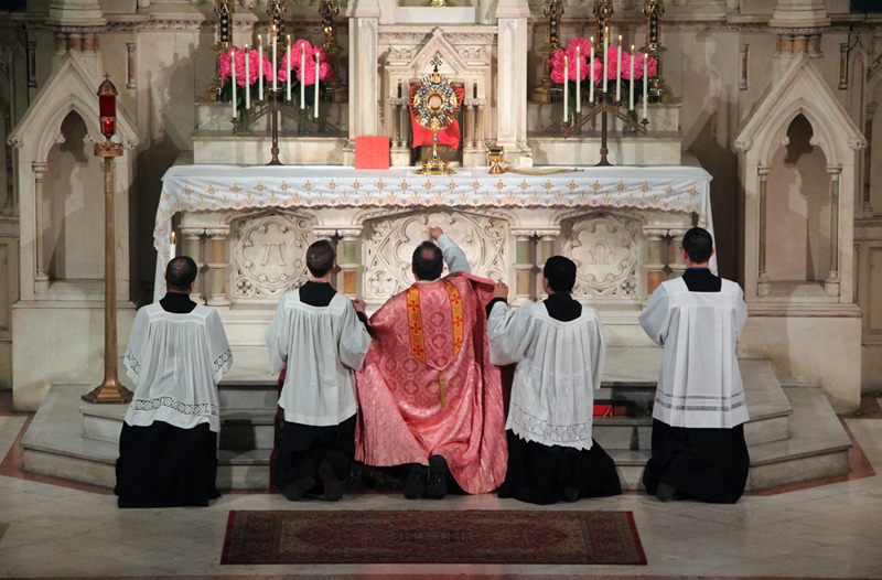 New Liturgical Movement: Laetare Sunday 2016 Photopost