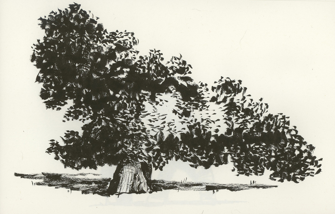 Tim Probert: Animals