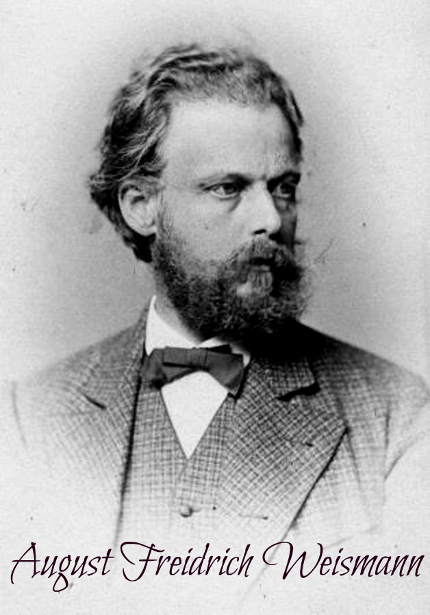 FALACIAS EN LA HISTORIA-7 :'''NO LO SE!!!... ¿O SI?