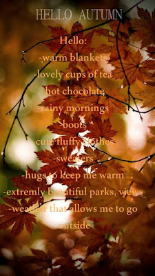 Top 5 Favorite Things About Fall