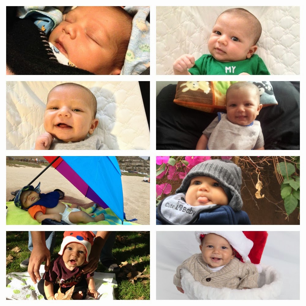 The Joni Journey: Ezzy's 7 Month Update