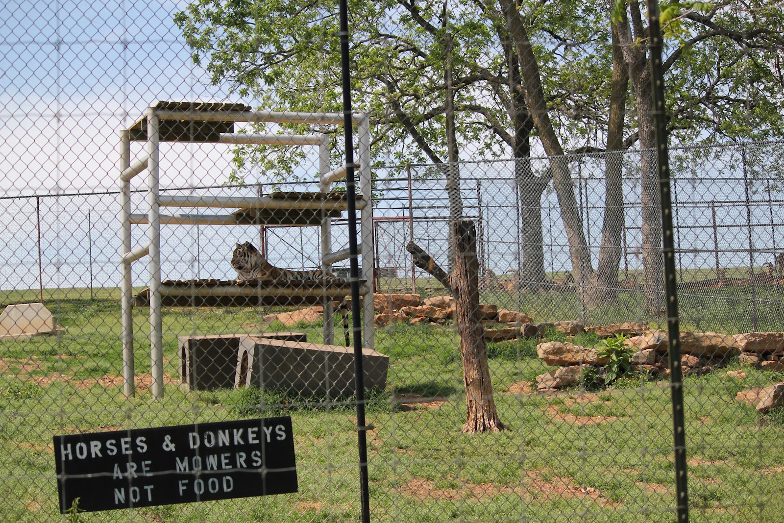 Westley and Haley: Gentry Zoo Part 2