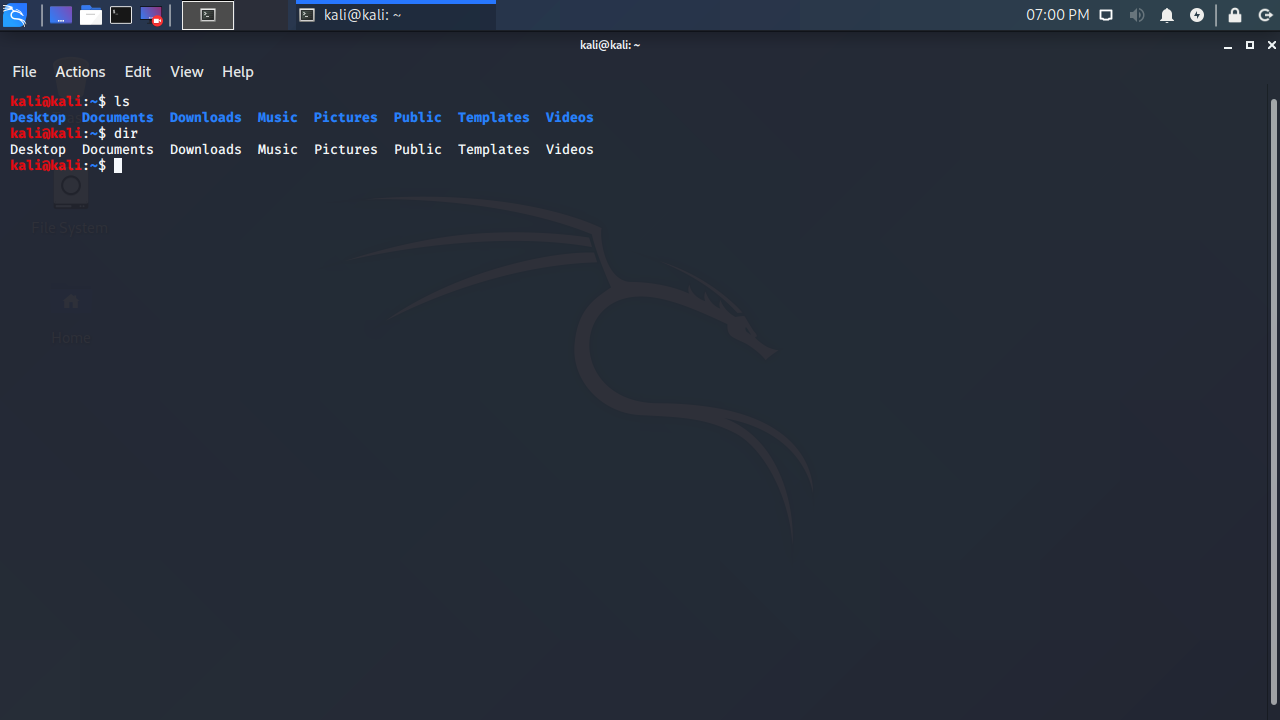 Information Technology: Kali Linux: Modificare la visualizzazione del comando dir