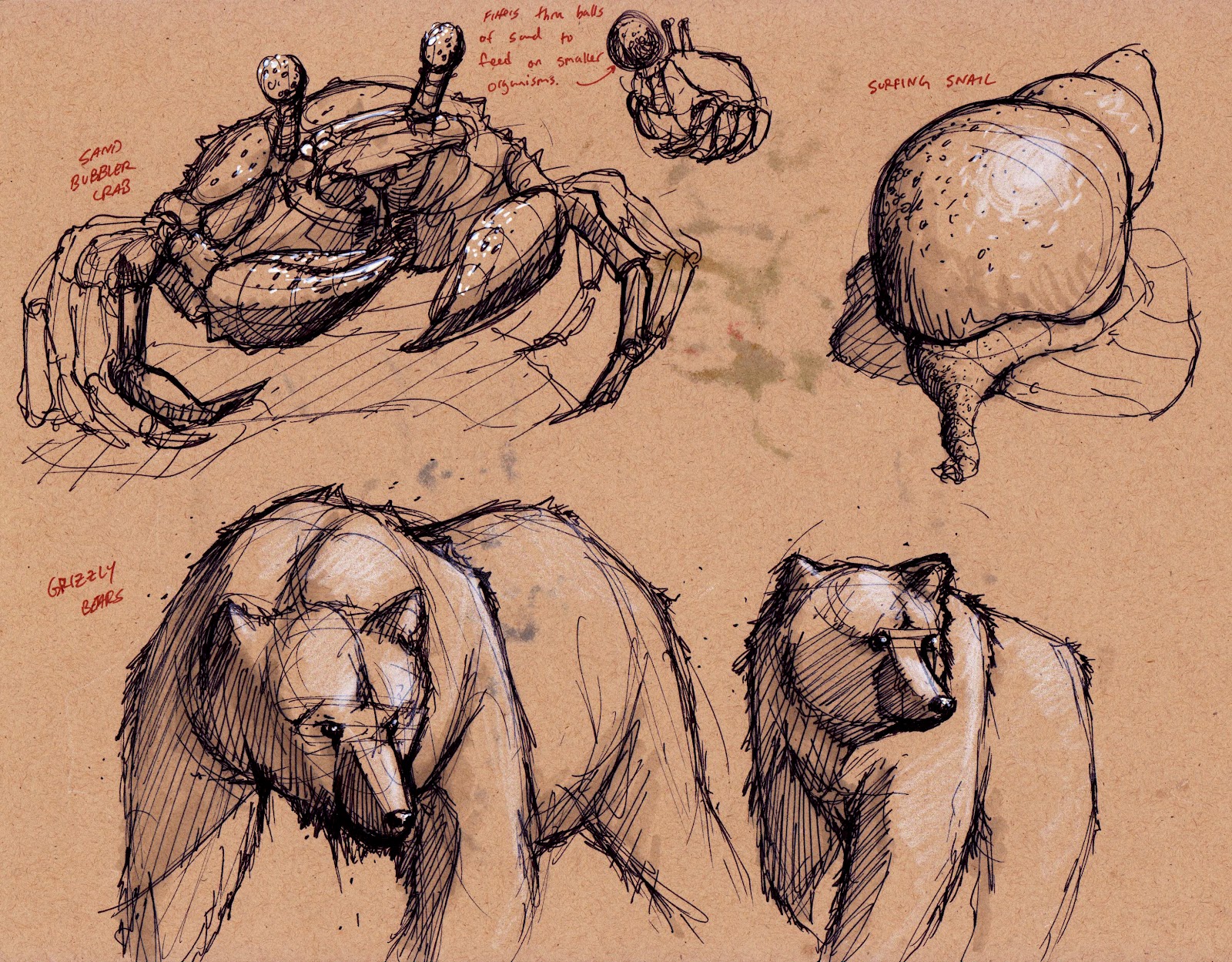 Tyler Chow: Dynamic Sketching - On Break - Animals!