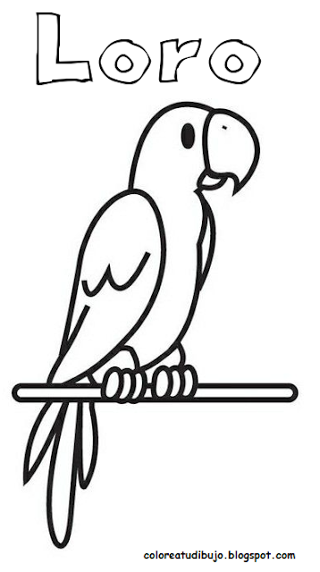 Loro para pintar - COLOREA TUS DIBUJOS