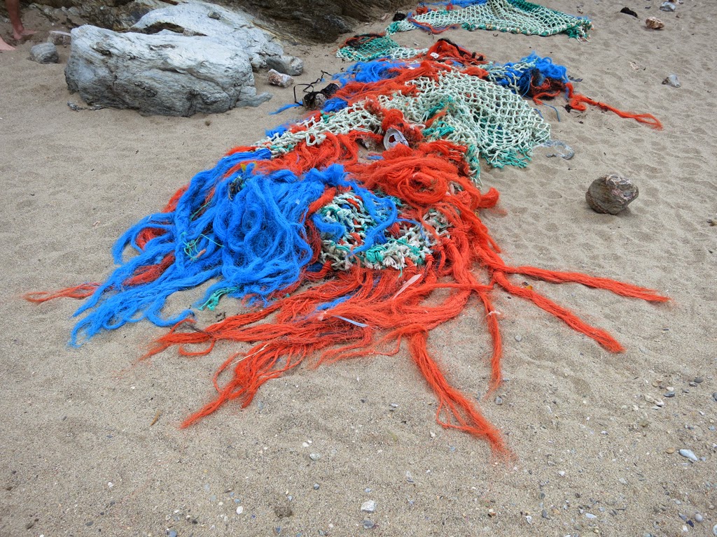 EVERYDAY... plastic: Octopus