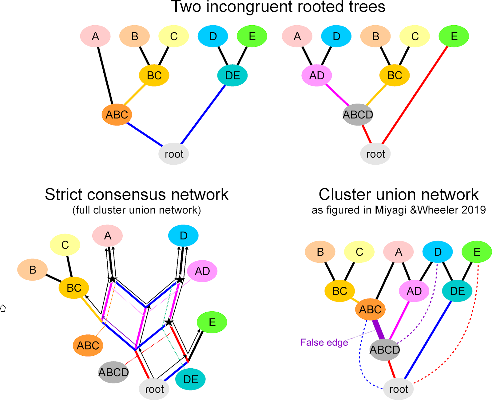 The Genealogical World of Phylogenetic Networks: Consensus networks ...