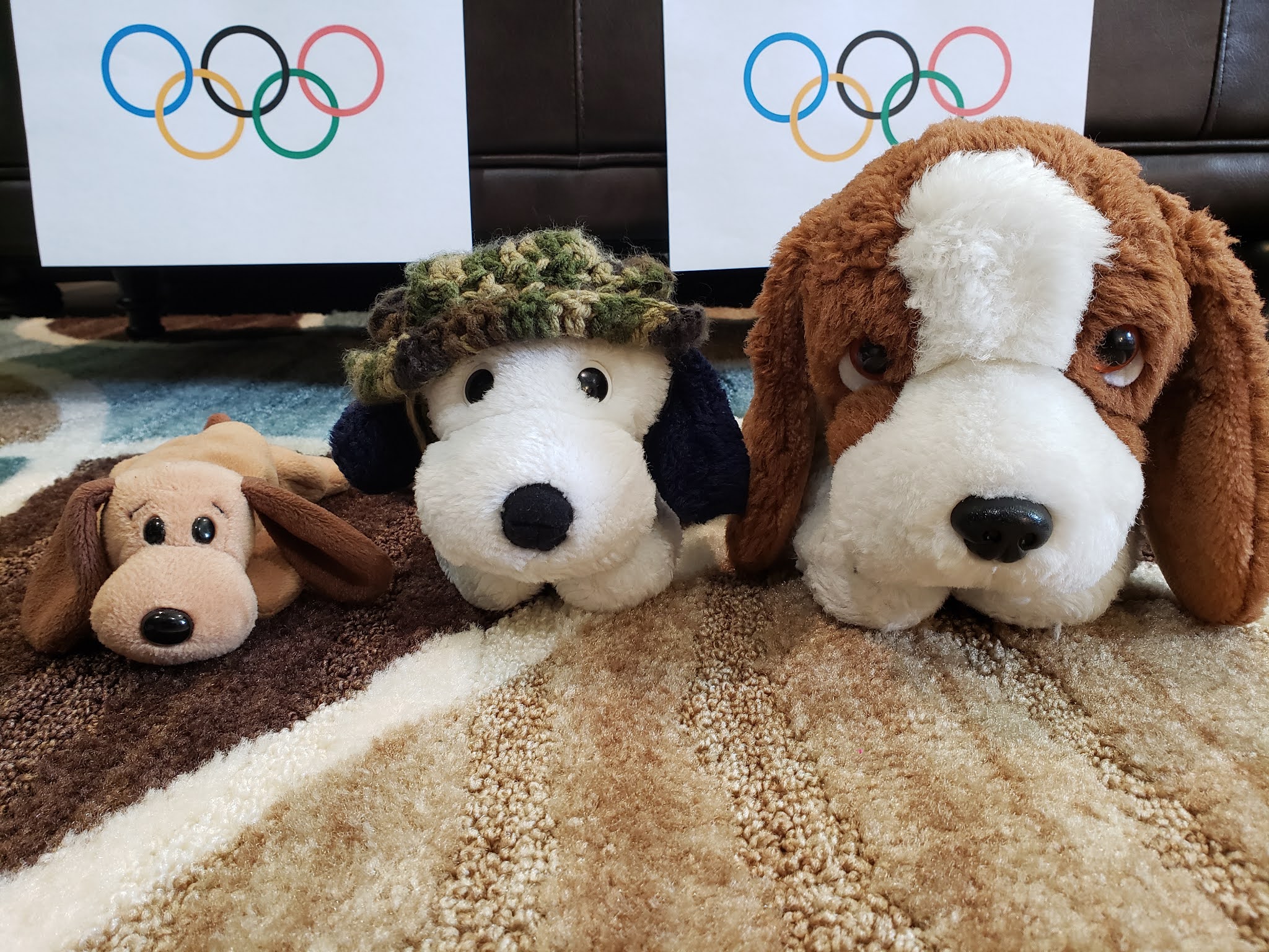 Droop's Scoop: The Blog of a Dog: Stuffie Olympics, Summer 2020