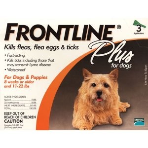 The Best frontline for dogs | About The Best frontline for dogs