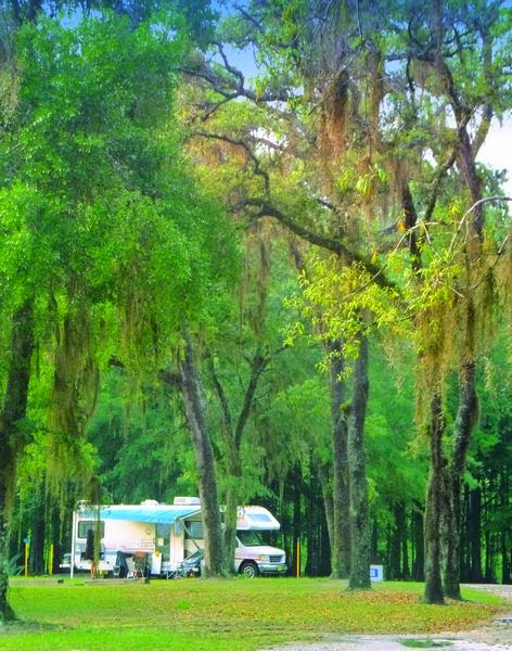 Adventures With Dear Miss Mermaid Child Of The Planet: Six Months of ...