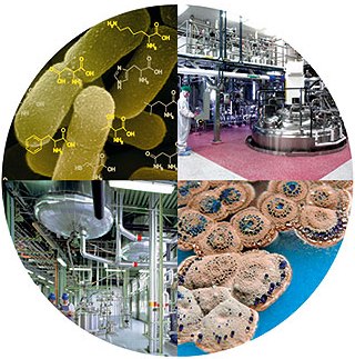 Biotecnología: Biotecnología moderna de los alimentos