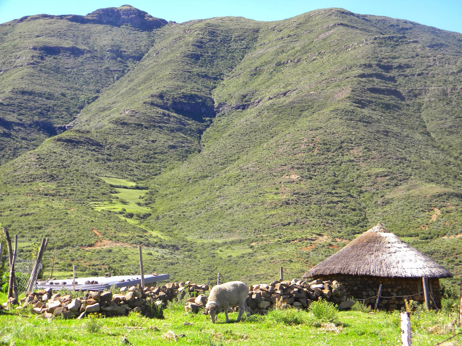 Khotso, Pula, Nala: February 2014