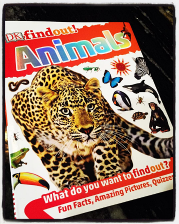 The Library Voice: DK Find Out Is Not Just A Website! There Are Now DK ...