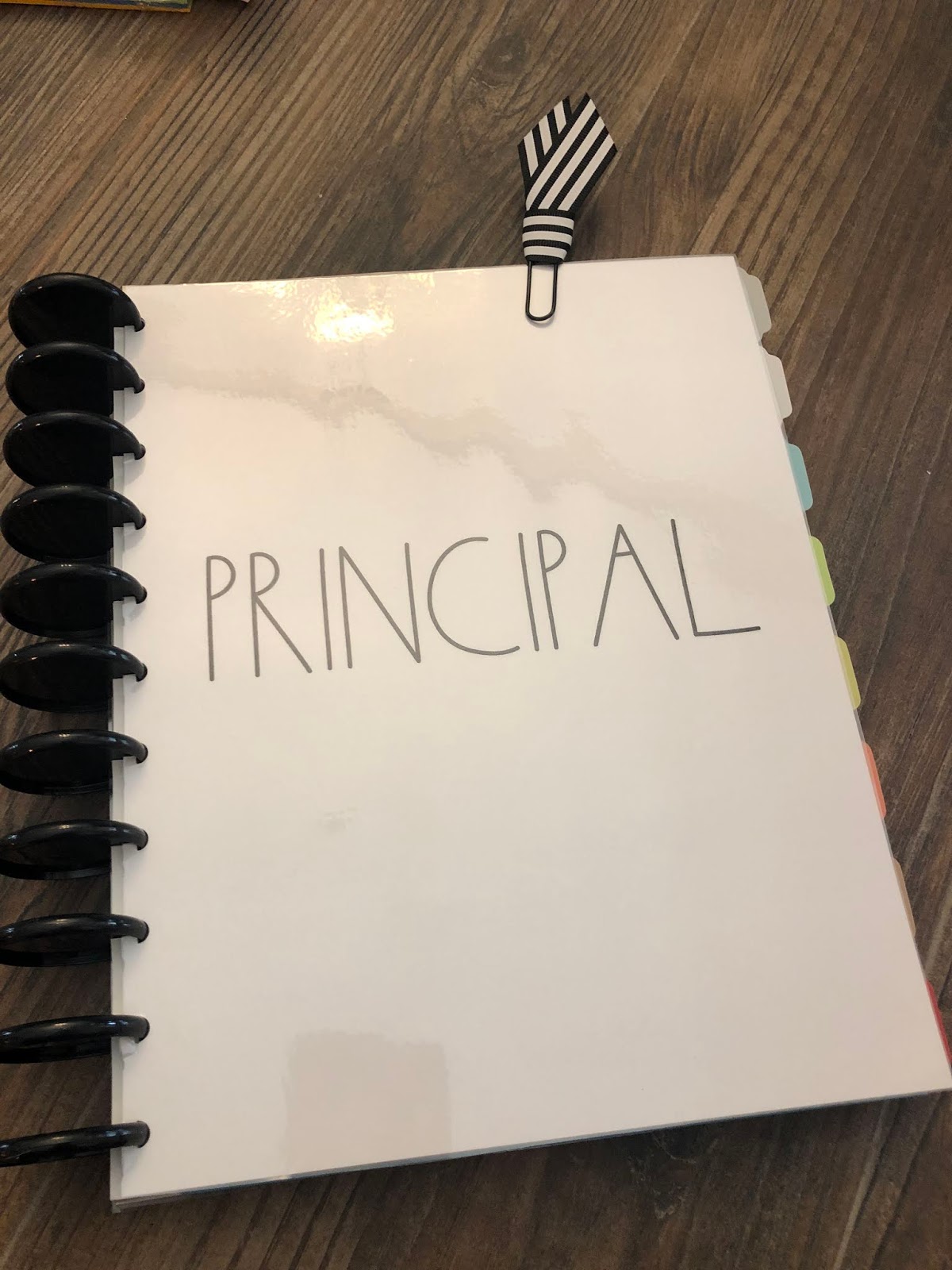 Creating a Disc Binder from Start to Finish - Stephanie McConnell ...