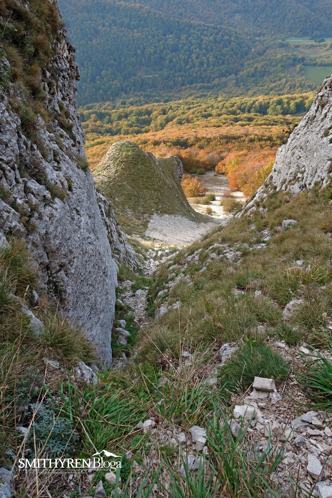 Smithy: BERIAIN (1.493 M), AKERREGIKO HAMABIETAKO BARGAKO OHIKO BIDETIK ...