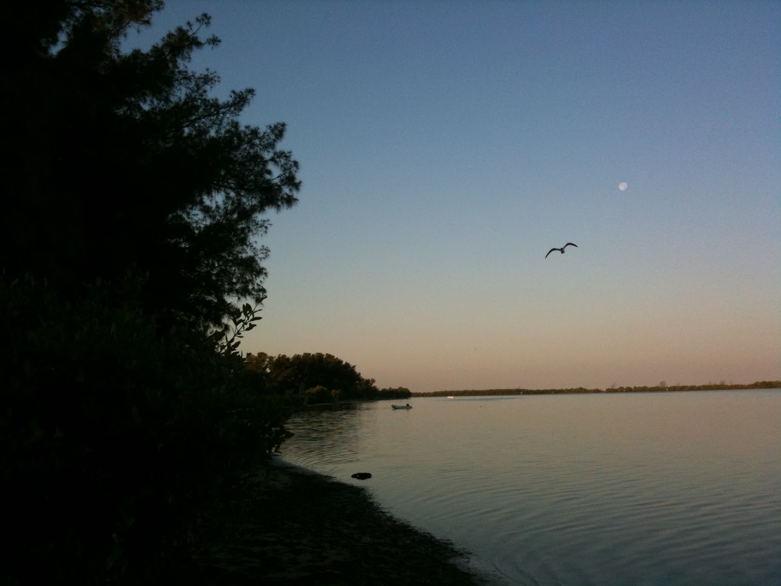 Setting Up Camp: Ft DeSoto