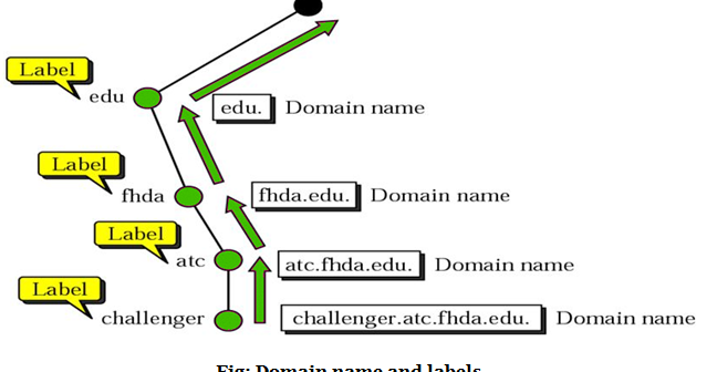 Domain Name System Architecture